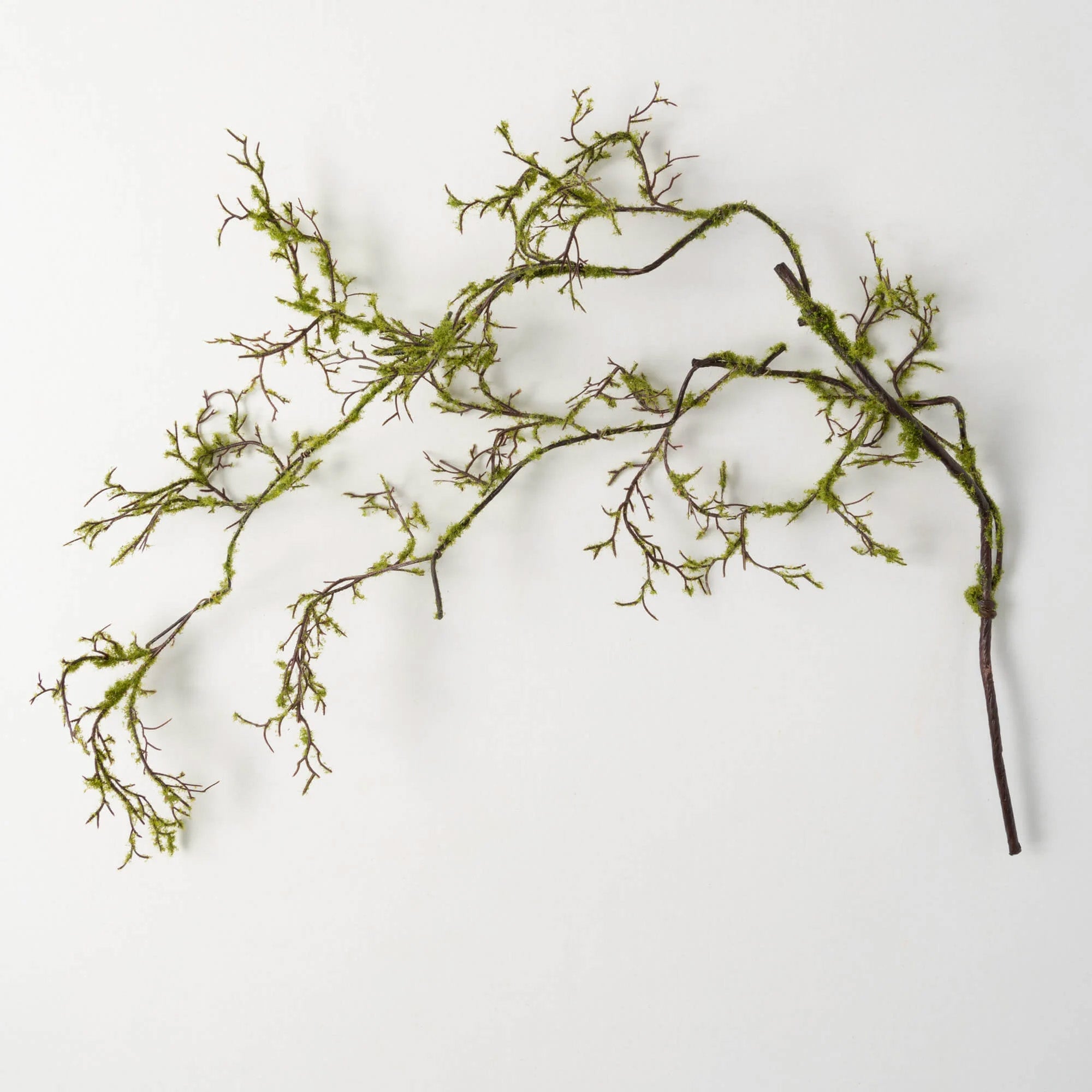 Mossy Drop Branch | The Elements By K Sorbe Online Store